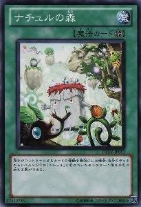 萬隆達﹡701 DREV-JP051 自然森林 普卡 | 露天市集 | 全台最大的網路購物市集