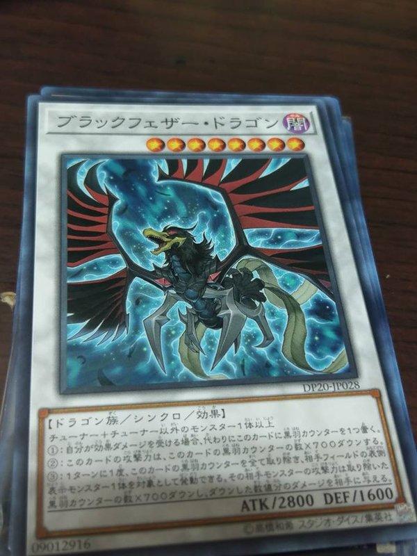 胖胖小舖 DP20-JP028 黑羽龍 (普卡) | 露天市集 | 全台最大的網路購物市集