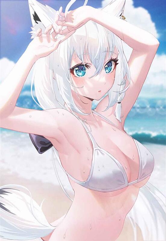 Mine公仔 同人誌 holo BIKINI さなだケイス Hololive 拉普拉斯 常闇永遠 白上吹雪 B2528 | 露天市集 | 全台最大的網路購物市集