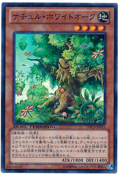 【樂遊wow】DTC3-JP051 自然白橡樹 (亮面方鑽) | 露天市集 | 全台最大的網路購物市集