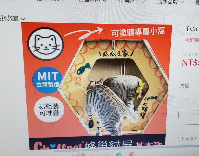 全新未拆【Chillpet敲派】 蜂巢貓屋 厚實的紙漿製成，抓感超好又耐啃 原價799元 尺寸大只能郵寄到府 | 露天市集 | 全台最大的網路購物市集