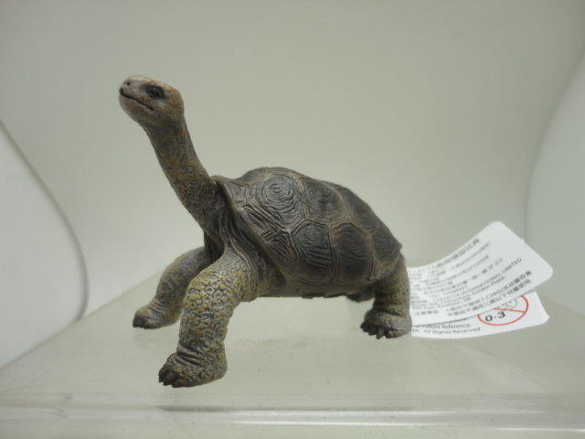 「芃芃玩具」COLLECTA 動物模型 R88619 平塔島象龜 仿真 教材 教學 貨號88619 | 露天市集 | 全台最大的網路購物市集
