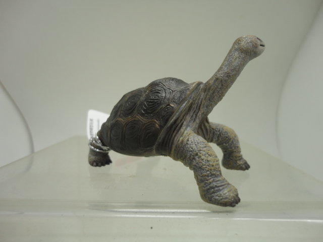 「芃芃玩具」COLLECTA 動物模型 R88619 平塔島象龜 仿真 教材 教學 貨號88619 | 露天市集 | 全台最大的網路購物市集