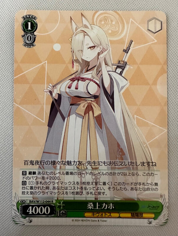 WS 蔚藍檔案 BAV/W112-044 R 閃 | 露天市集 | 全台最大的網路購物市集