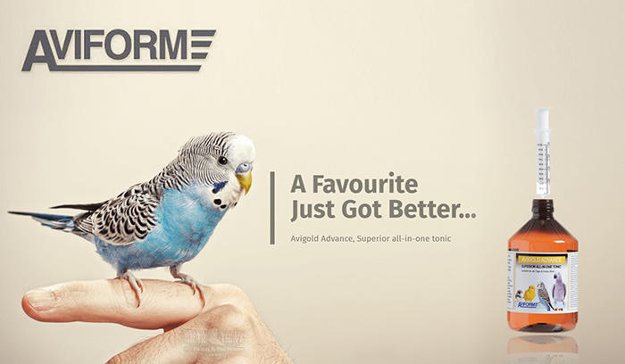 《寵物鳥世界》英國愛飛Aviform 寵物鳥大補液 AVIGOLD ADVANCE│鸚鵡 鳥 營養品 AV001 | 露天市集 | 全台最大的 ...