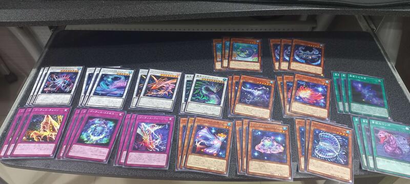 遊戲王 WPP4 異魚 牌料 一套 WPP4-JP024 WPP4-JP022 WPP4-JP025 | 露天市集 | 全台最大的網路購物市集