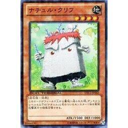 [雞丁的賣場]遊戲王 DT05-JP019 DTC2-JP042 自然壁 (亮面點鑽 | 露天市集 | 全台最大的網路購物市集