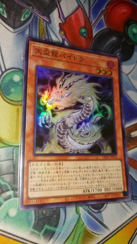 ☠星塵x玥☠ LEDE-JP016 天盃龍 白板龍 (亮面) W | 露天市集 | 全台最大的網路購物市集