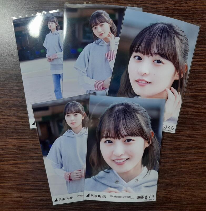 乃木坂46 Webshop限定 Wilderness World 遠藤さくら 遠藤櫻 5枚 成套 生寫真 露天市集 全台最大的網路購物市集
