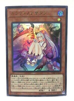 萬隆達* 遊戲王 VJUMP 5月 VJMP-JP163 隱世的血櫻 金亮 (書卡不含書) | 露天市集 | 全台最大的網路購物市集