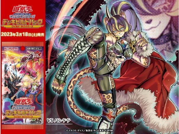 【91特賣場】遊戲王 DBWS-JP017 征服之魂 豹女 (普卡) | 露天市集 | 全台最大的網路購物市集