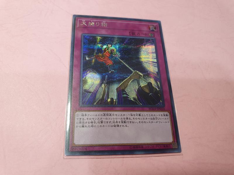 遊戲王 現貨日紙代賣 RC03-JP050大捕獲物(半鑽) (全新未使用)搜DANE-JP078 SD40-JP040 | 露天市集 | 全台最大的網路購物市集