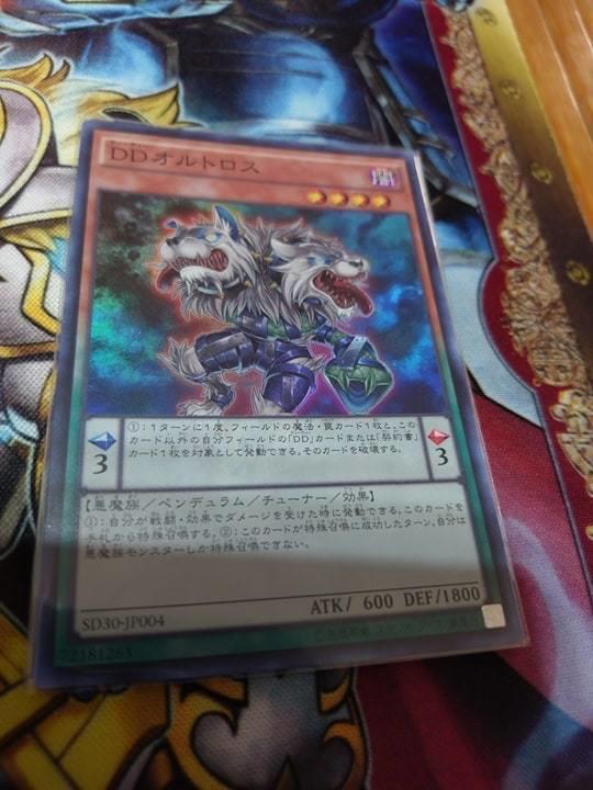 胖胖小舖 SD30-JP004 DD雙頭犬 (亮面) | 露天市集 | 全台最大的網路購物市集