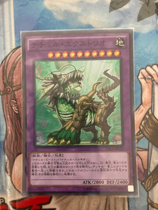 《山間卡鋪》潘熊貓 TRC1-JP029 自然合成獸 亮面 | 露天市集 | 全台最大的網路購物市集