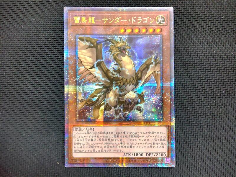 (新世界) QCCP-JP171 雷鳥龍 雷龍 金鑽 25TH 99-95分(韓紙 | 露天市集 | 全台最大的網路購物市集