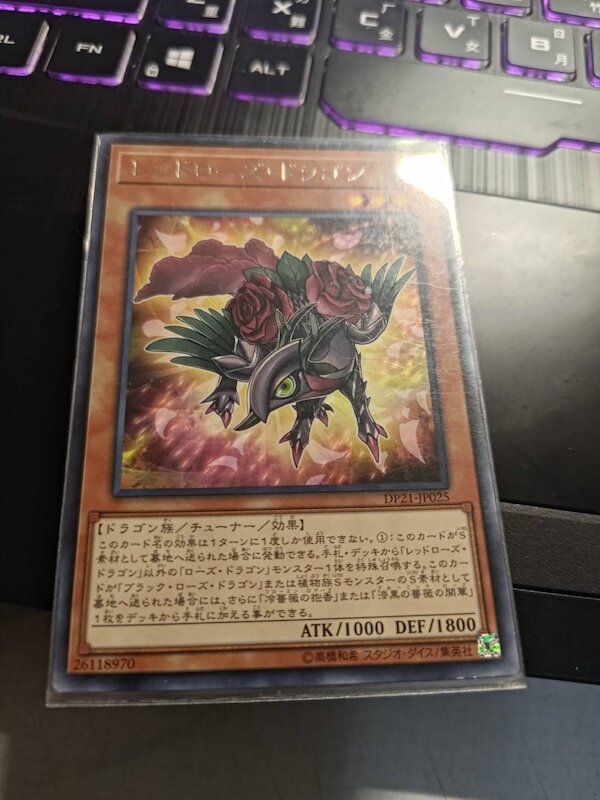 [神宣小舖]紅薔薇龍 DP21-JP025 (銀字) | 露天市集 | 全台最大的網路購物市集