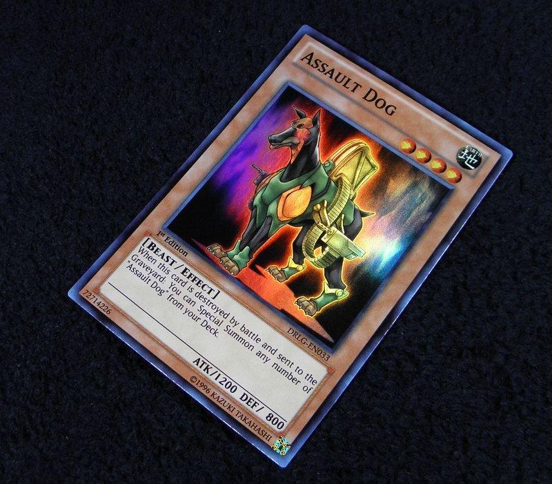 [台拍遊戲王] DRLG-EN033 美英1刷 亮面 突擊槍犬X1(M/NM)=CPL1-JP033 | 露天市集 | 全台最大的網路購物市集