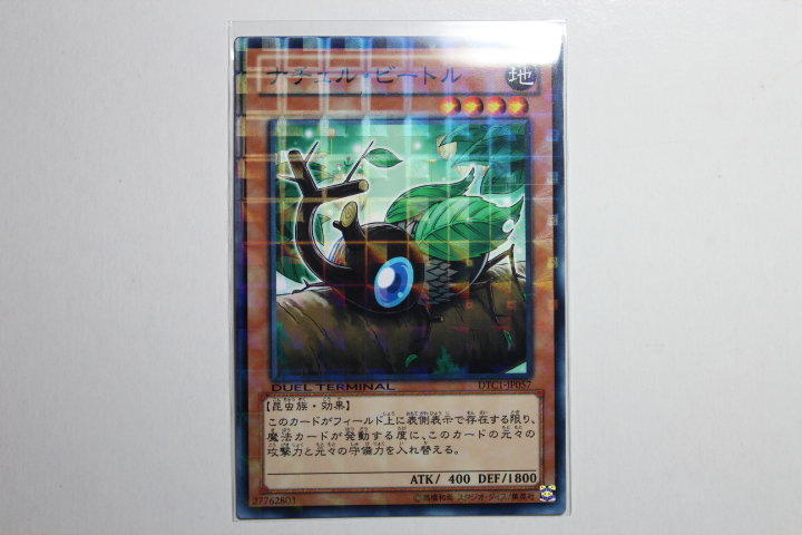 * 遊戲王* DTC1-JP057 自然甲蟲 | 露天市集 | 全台最大的網路購物市集