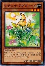 萬隆達* DTC3-JP050 DT08-JP030 自然豚草 (不限版本) | 露天市集 | 全台最大的網路購物市集