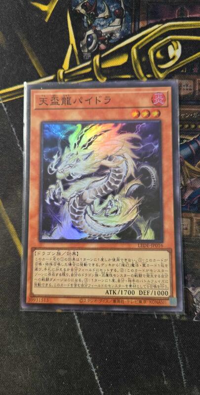 [九四賣客] LEDE-JP016 天盃龍 白板龍 (亮面) | 露天市集 | 全台最大的網路購物市集