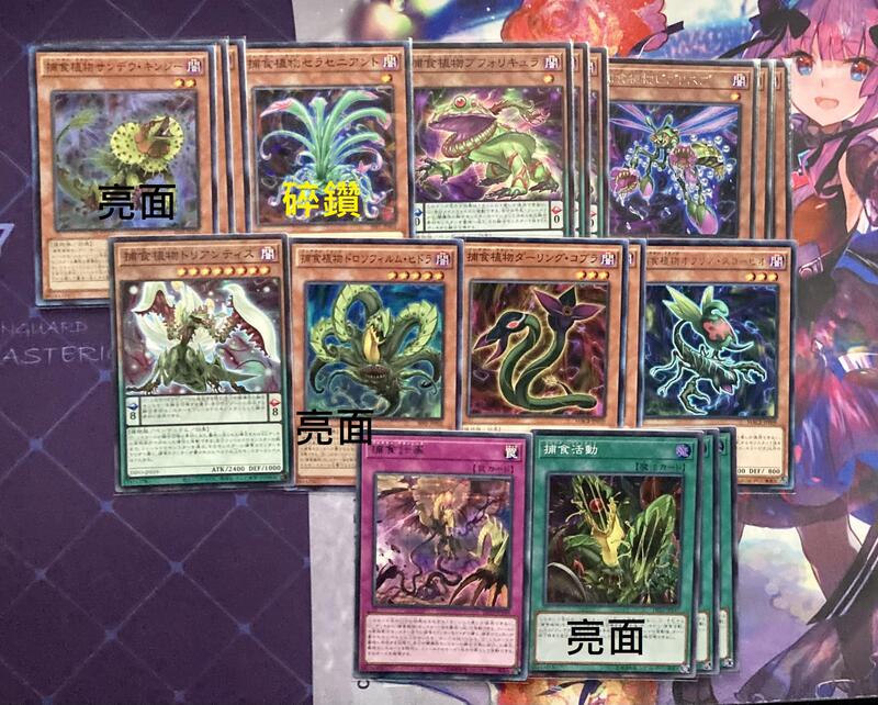 【SJ卡鋪】遊戲王 捕食植物 牌組 套牌 牌料(SPFE-JP002 SPFE-JP005 DP22-JP047) | 露天市集 | 全台最大的網路購物市集