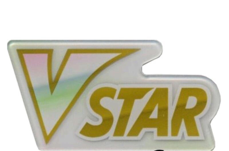 熊貓 原版 全新 PTCG VSTAR (VSTAR 壓克力) 指示物 | 露天市集 | 全台最大的網路購物市集