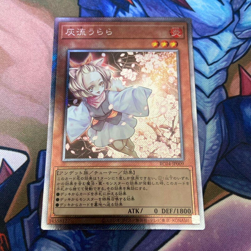 遊戲王 RC04-JP009 灰流麗 (斜鑽) 初期傷*微白邊 搜:SD44-JP014 PAC1-JP016 | 露天市集 | 全台最大的網路購物市集