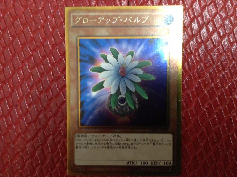 遊戲王 單卡 GP16-JP001 成長的鱗莖-黃金版 (全新未使用) | 露天市集 | 全台最大的網路購物市集