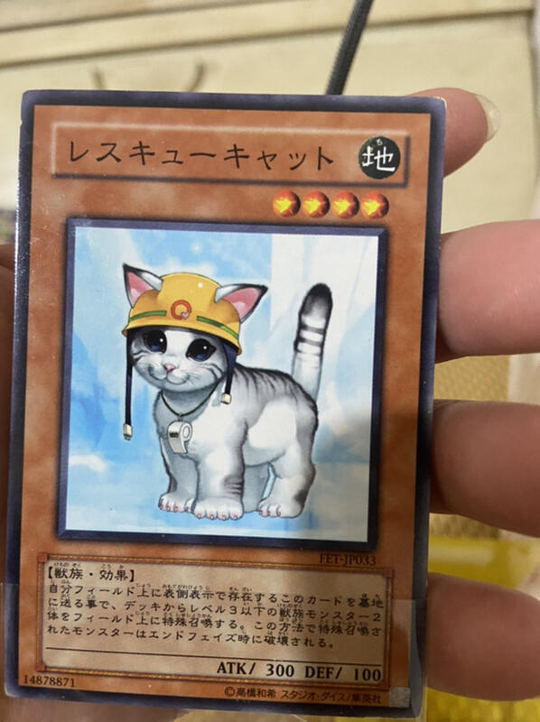 「廚師小舖」 FET-JP033 救援貓 普卡（傷） | 露天市集 | 全台最大的網路購物市集