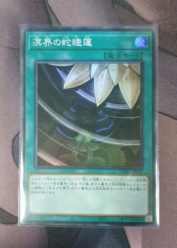 遊戲王 DBAG-JP010 溟界的蛇睡蓮 亮面 | 露天市集 | 全台最大的網路購物市集