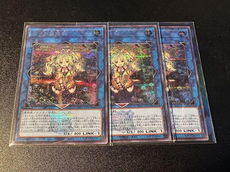 【LCA卡牌】遊戲王 TDS2-JPP03 賽拉的蟲惑魔 (半鑽) 鋼印 日紙 單張價 | 露天市集 | 全台最大的網路購物市集