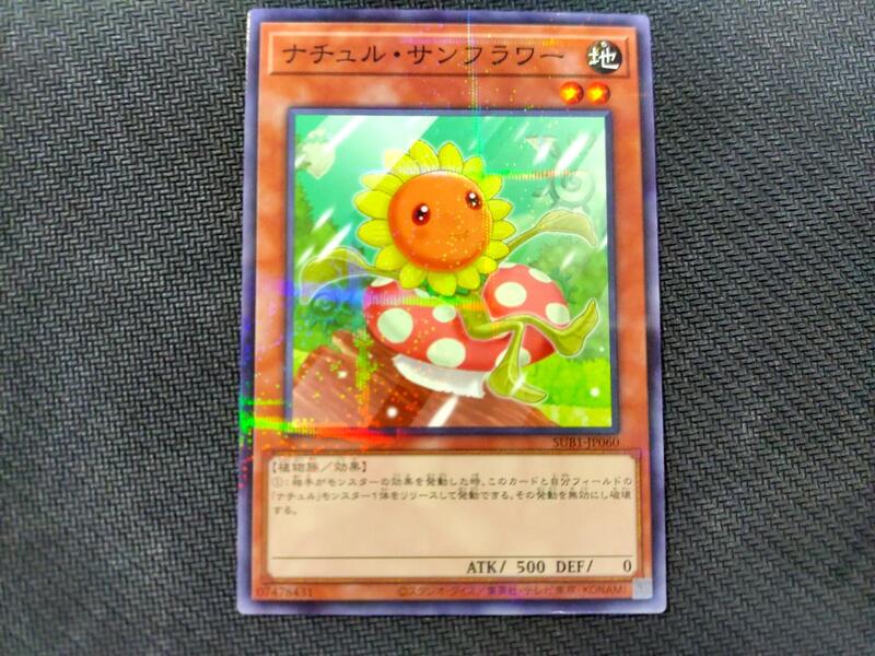 (新世界) SUB1-JP060 自然向日葵 普鑽 99-95分 | 露天市集 | 全台最大的網路購物市集