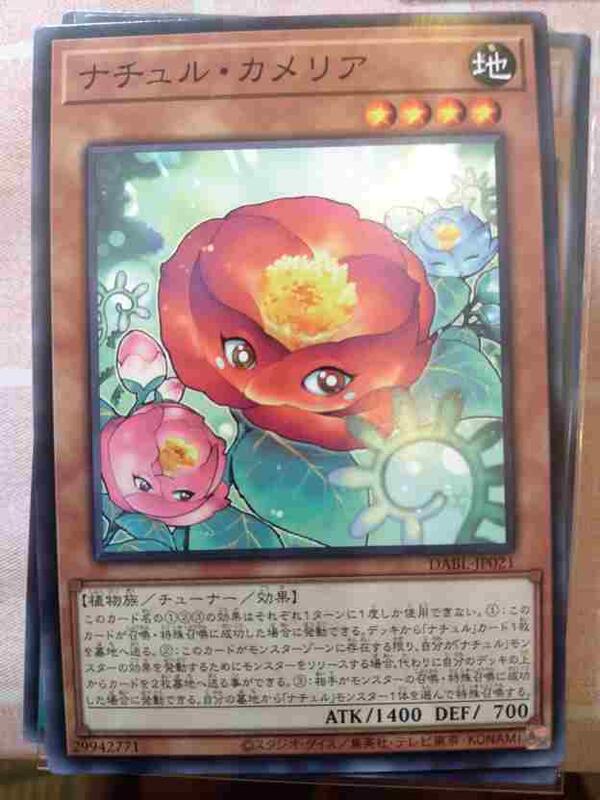 [萬睡開箱]DABL-JP021 自然山茶花(普卡) | 露天市集 | 全台最大的網路購物市集