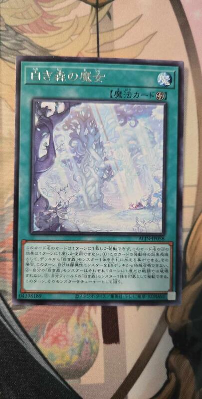 [九四賣客] ALIN-JP058 白之森的魔女 (銀字) | 露天市集 | 全台最大的網路購物市集