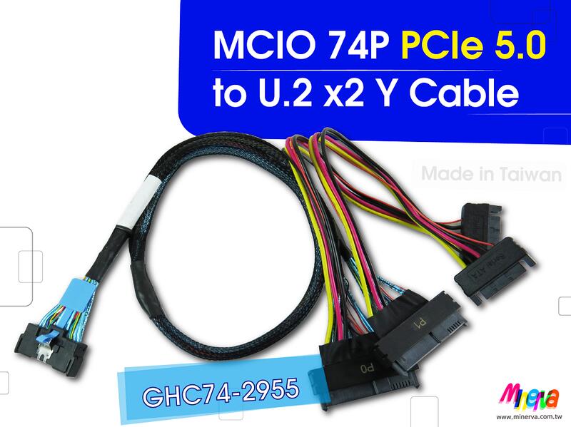 MCIO 74P PCIe 5.0 to U.2(SFF-8639) Dual port, 50cm Cable | 露天市集 | 全台最大的 ...