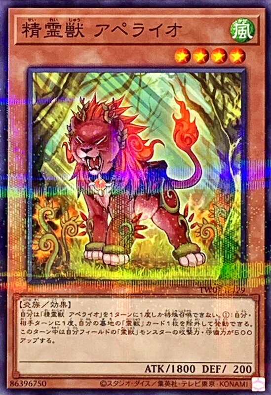 【崇文社】韓紙 遊戲王 TW01-JP129 精靈獸 火獅 (普鑽) 搜SPTR-JP025 | 露天市集 | 全台最大的網路購物市集