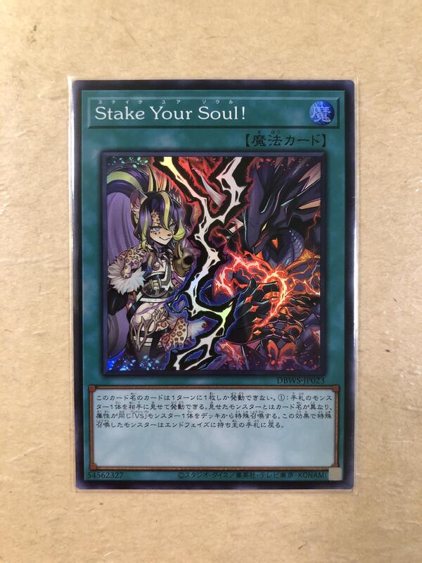 《青蘋果》 DBWS-JP023 賭上靈魂! (亮面) | 露天市集 | 全台最大的網路購物市集