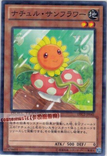 卡司魔~遊戲王 DT05-JP018 DTC2-JP041 自然向日葵 日文普卡 機台卡 搜尋 SUB1-JP060 | 露天市集 | 全台最大的網路購物市集