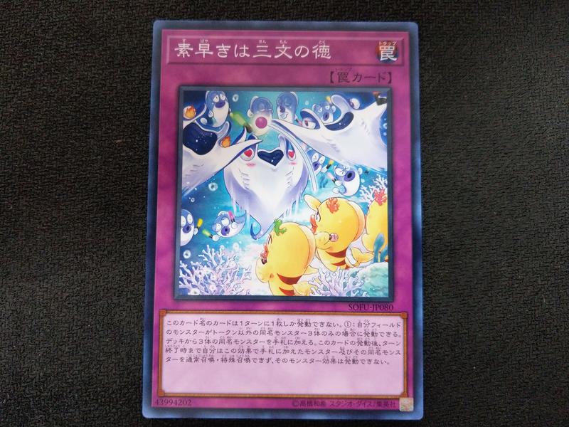 (新世界) SOFU-JP080 迅捷的三文之德 迅捷的三文魚 普卡 99-97分 | 露天市集 | 全台最大的網路購物市集