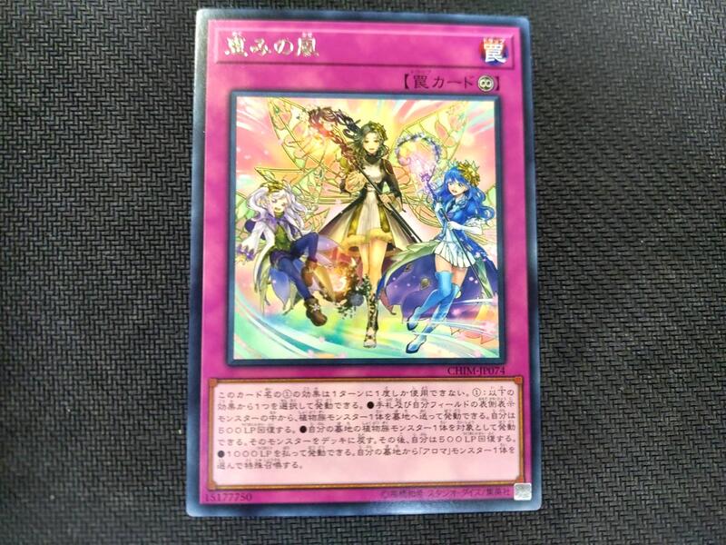 (新世界) CHIM-JP074 恩惠之風 銀字 99-95分 | 露天市集 | 全台最大的網路購物市集