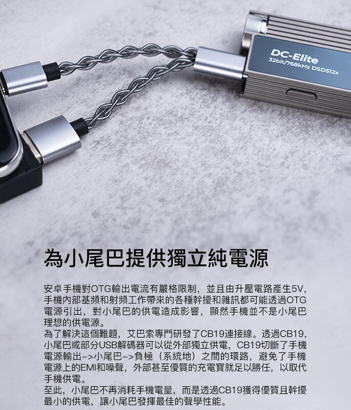 志達電子 iBasso Audio CB19 Type C- Type C USB DAC 小尾巴升級線 6N單晶銅鍍銀 | 露天市集 | 全 ...