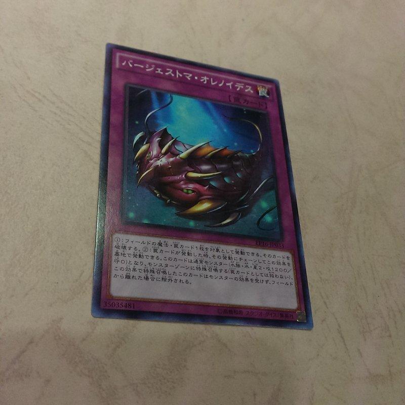 遊戲王 現貨代賣 EP16-JP033 古生代擬油櫛蟲 (普卡) (全新未使用) | 露天市集 | 全台最大的網路購物市集