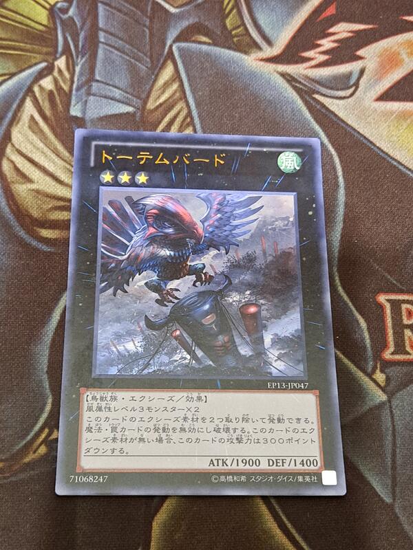 {DARK拍賣}遊戲王-金亮 EP13-JP047 圖騰鳥 (60) | 露天市集 | 全台最大的網路購物市集