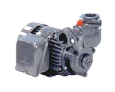 【川大泵浦】木川 1/2HP 抽水馬達 KP-320 陸上型抽水機 KP320 (東元馬達) 合TP320PT | 露天市集 | 全台最大的網路購物市集