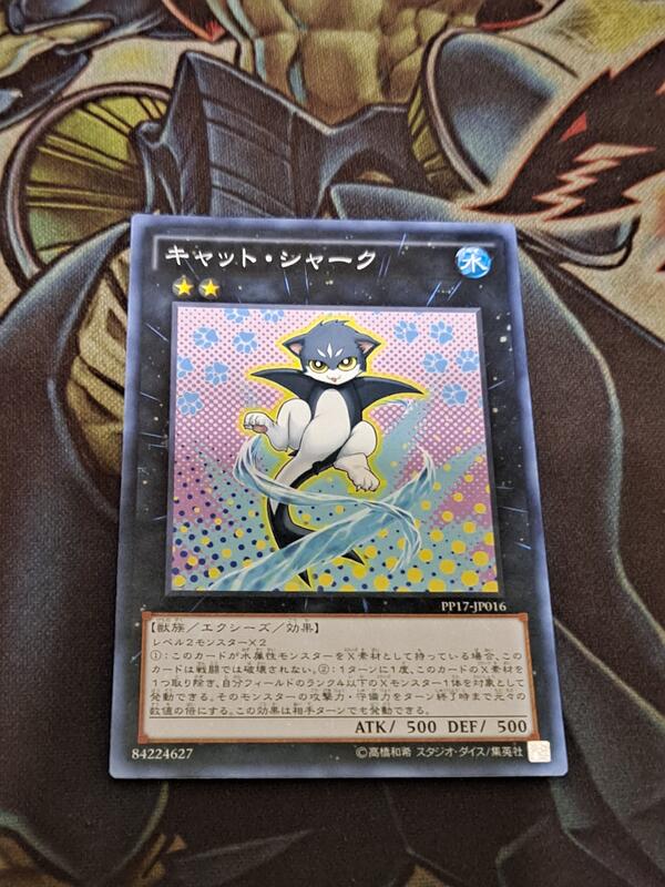 {DARK拍賣}遊戲王-普卡 PP17-JP016 貓鯊 | 露天市集 | 全台最大的網路購物市集