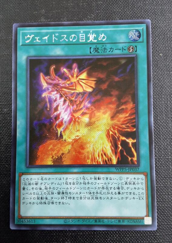 韓紙 WPP5-JP037 維多斯的覺醒 (斜鑽) | 露天市集 | 全台最大的網路購物市集