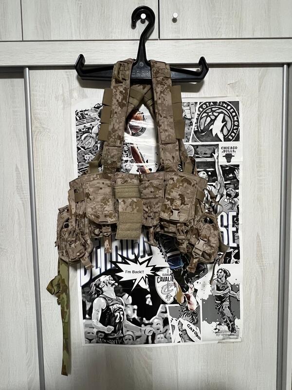 EAGLE AOR1 MPCR(Multi Purpose Chest Rig) V2 多用途胸掛 | 露天市集 | 全台最大的網路購物市集