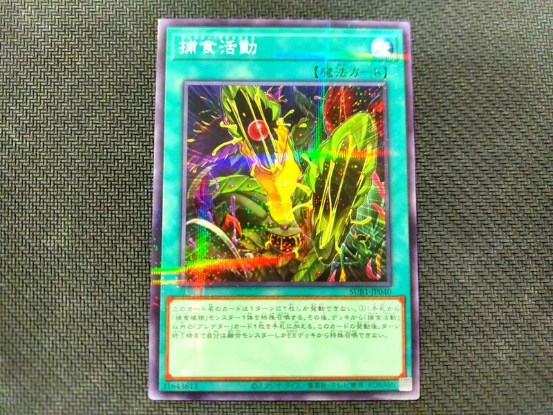 (新世界) SUB1-JP040 捕食活動 普鑽 99-95分 | 露天市集 | 全台最大的網路購物市集