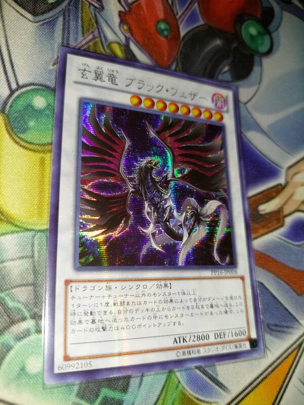 ☠星塵x玥☠ PP16-JP008 玄翼龍 黑羽 (韓紙半鑽) | 露天市集 | 全台最大的網路購物市集