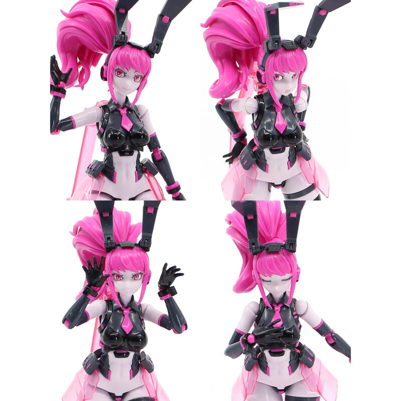 《玩具前線》現貨 將魂姬 Animacircuit Vio the Rabbit 特別版 組裝模型 卓匠 | 露天市集 | 全台最大的網路購物市集